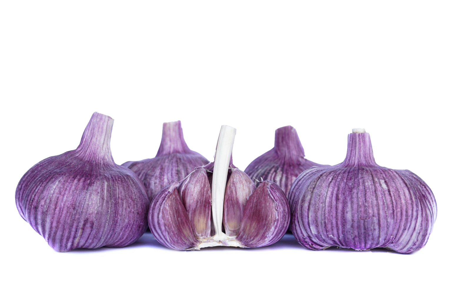 Home - White Lion Foods